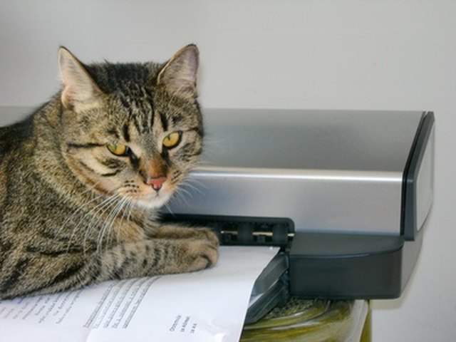 How to Override Low Ink on a Lexmark Printer | Techwalla