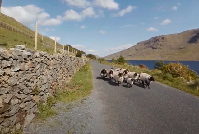Celebrate St. Patrick's Day by Taking a Virtual Field Trip to Ireland ...
