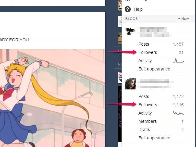 How to Check Who Views Your Tumblr | Techwalla