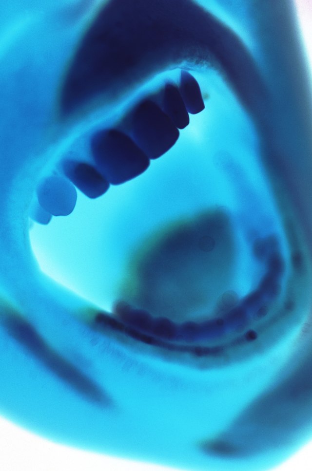 How to Make GIMP Into a Negative | Techwalla