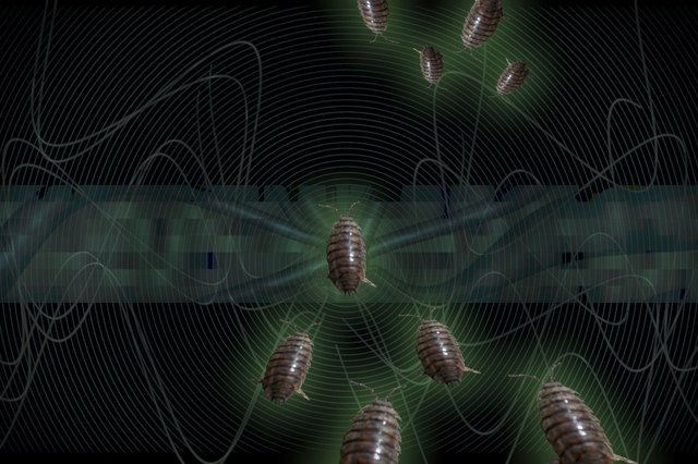 How to Tell If RAR Files Contain a Virus | Techwalla